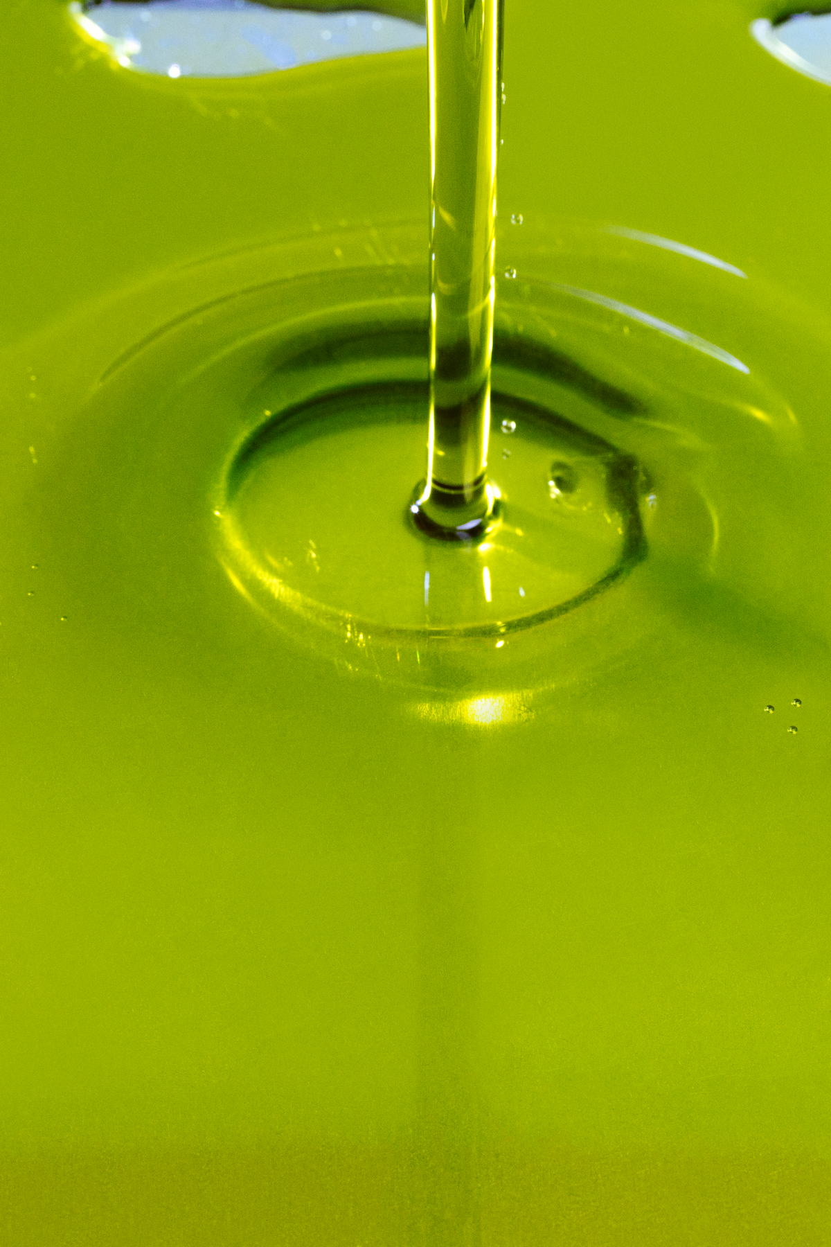 Everything to Know About Oil Pulling With Olive Oil