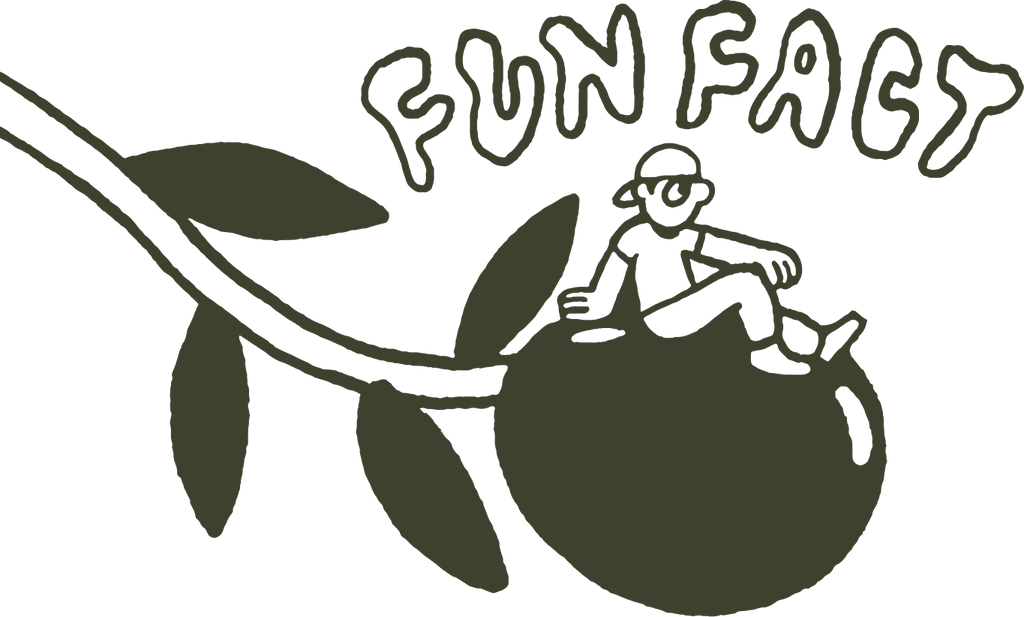 “The Gift Set” | Graza